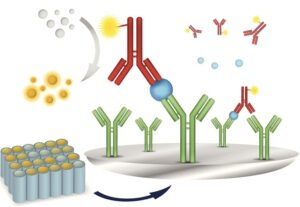 Immunoassay: Principle and Methods